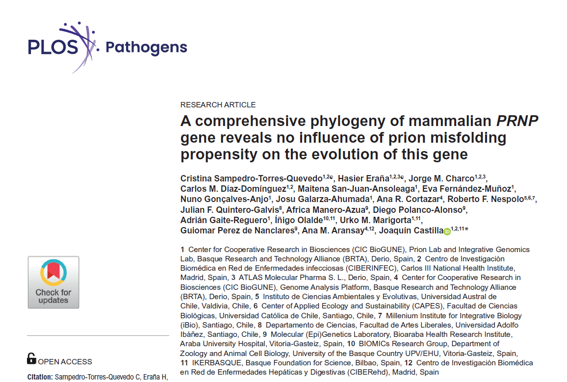 A comprehensive phylogeny of mammalian PRNP gene reveals no influence ...